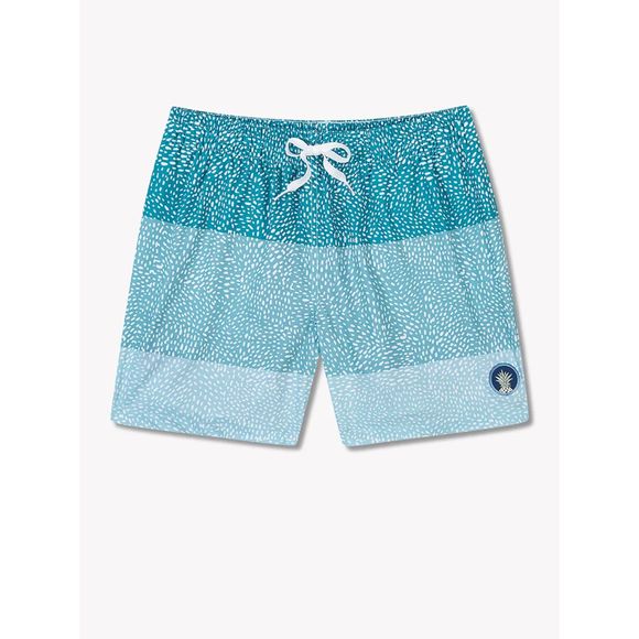 chubbies | Swim | Chubbies Classic Swim 55 Trunks The Whale Sharks Blue ...